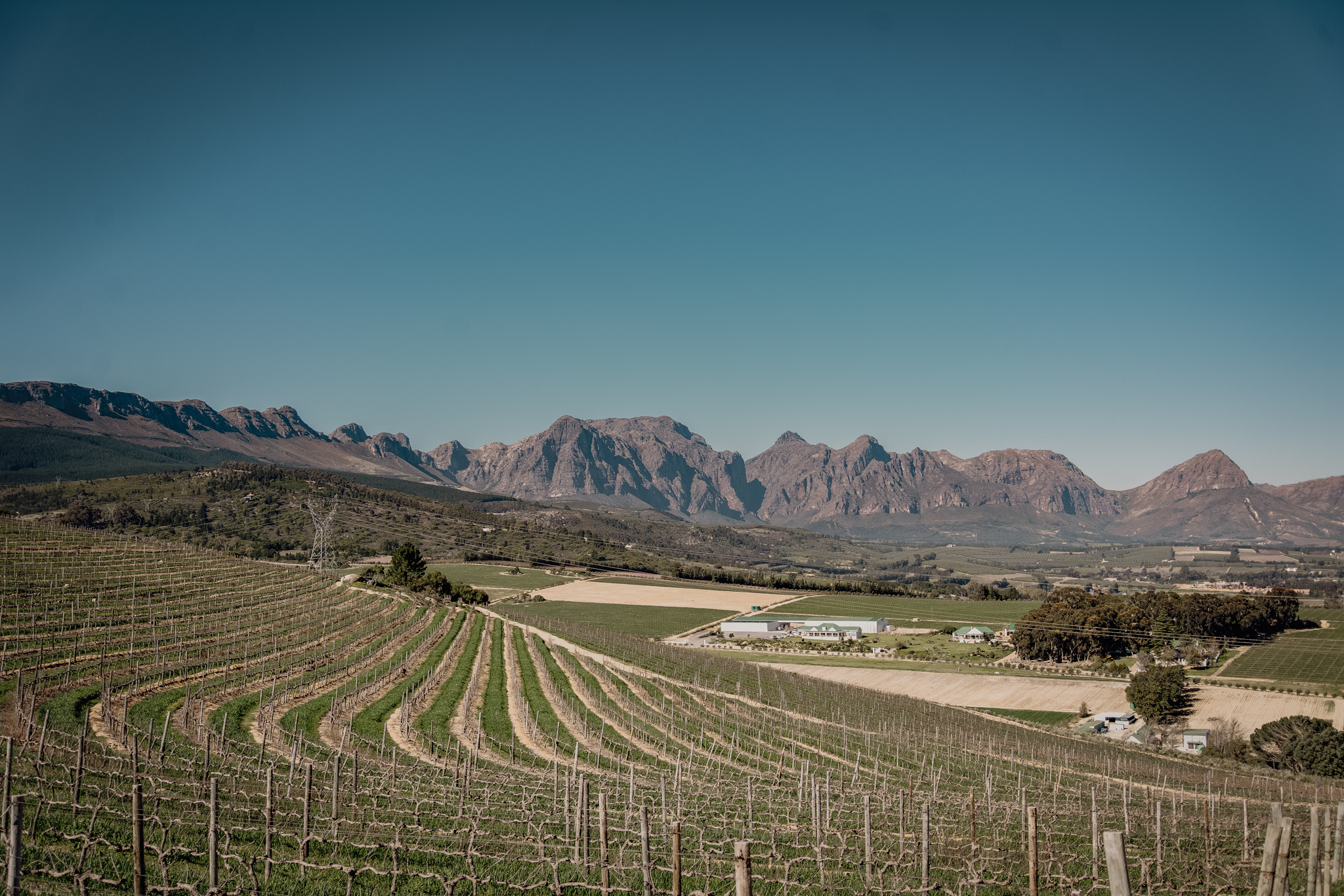Home - Imbuko Family Vintners